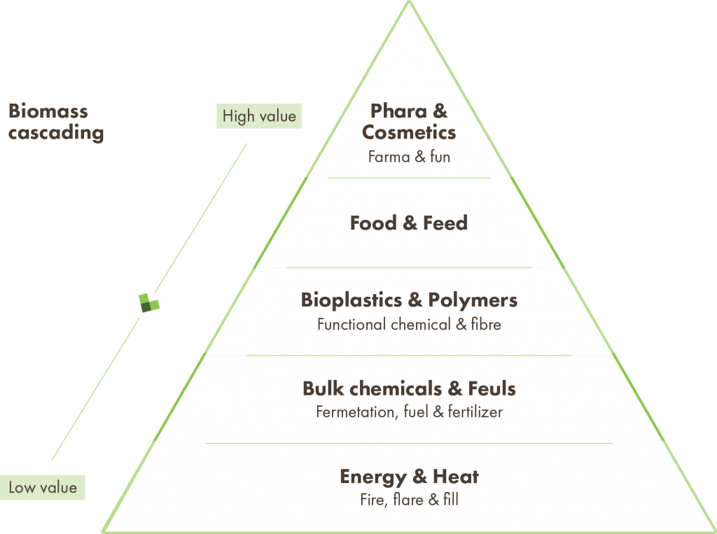 Infographic2-v1 - Wagro